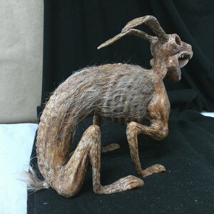 Mummified Rabbit Sideshow Gaff Freak - Etsy