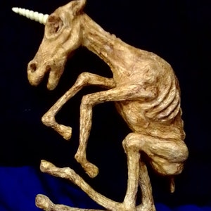 Unicorn Fetus in Display Box Sideshow Gaff Freak - Etsy