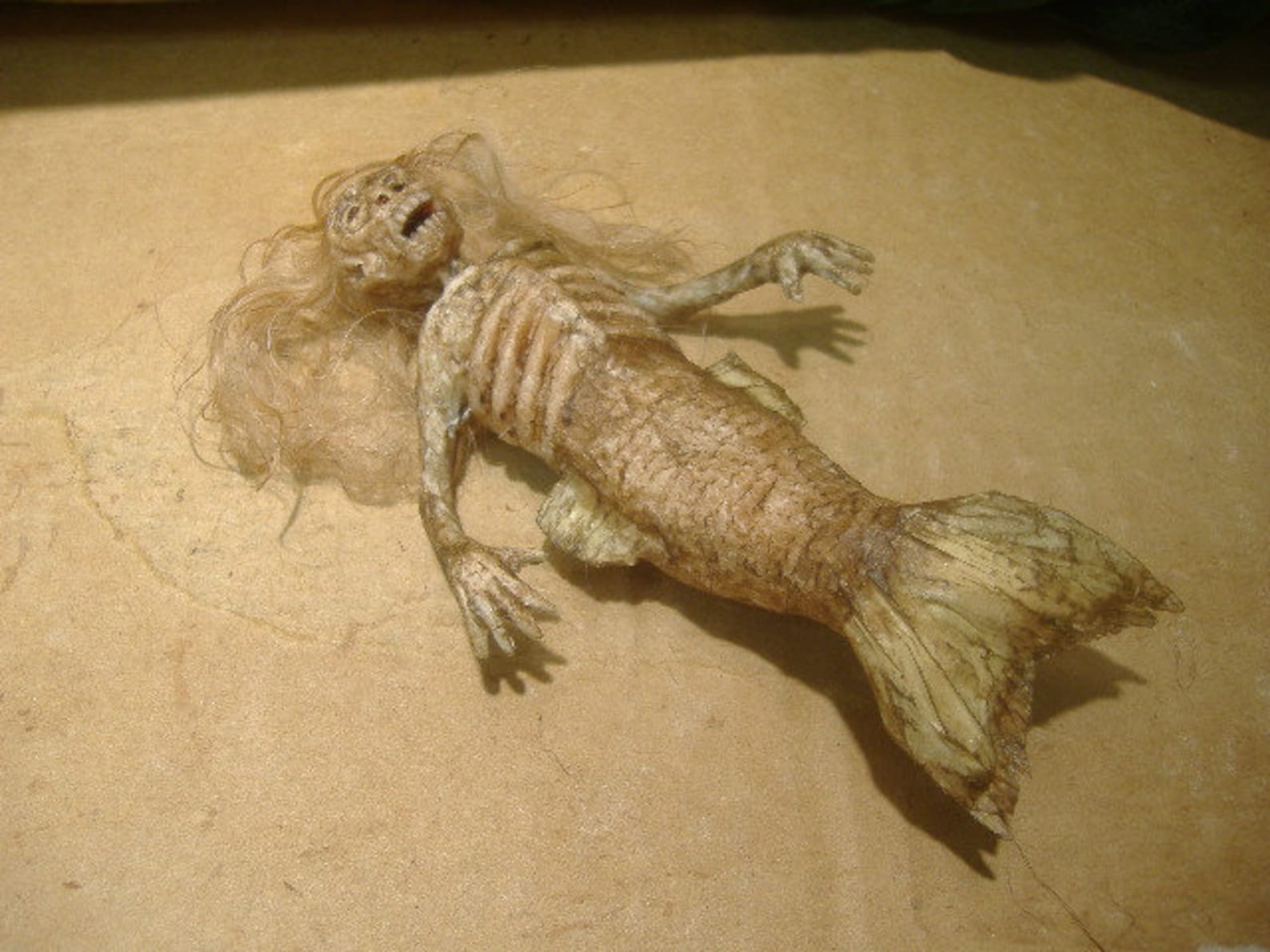 Feejee Fiji Mermaid Sideshow Gaff Freak | Etsy