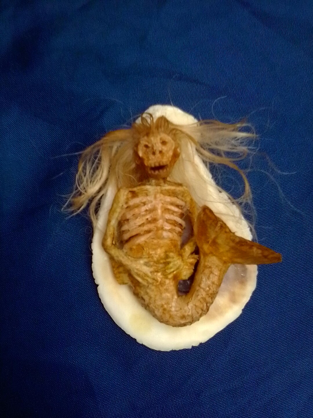 Baby Miniature Feejee Fiji Mermaid on Oyster Shell Sideshow Gaff Freak ...