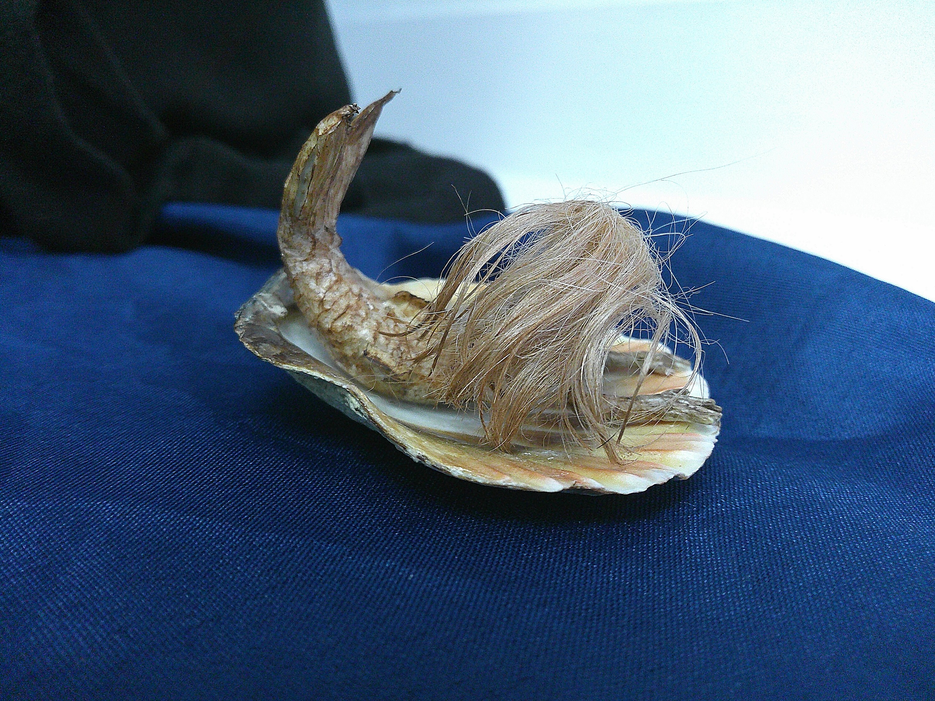 Miniature Feejee Fiji Mermaid Sideshow Gaff Freak - Etsy