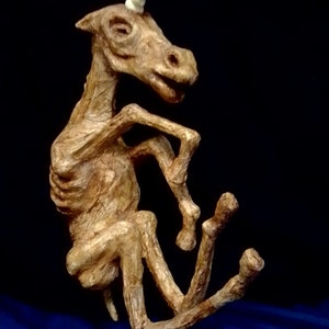 Unicorn Fetus in Display Box Sideshow Gaff Freak - Etsy
