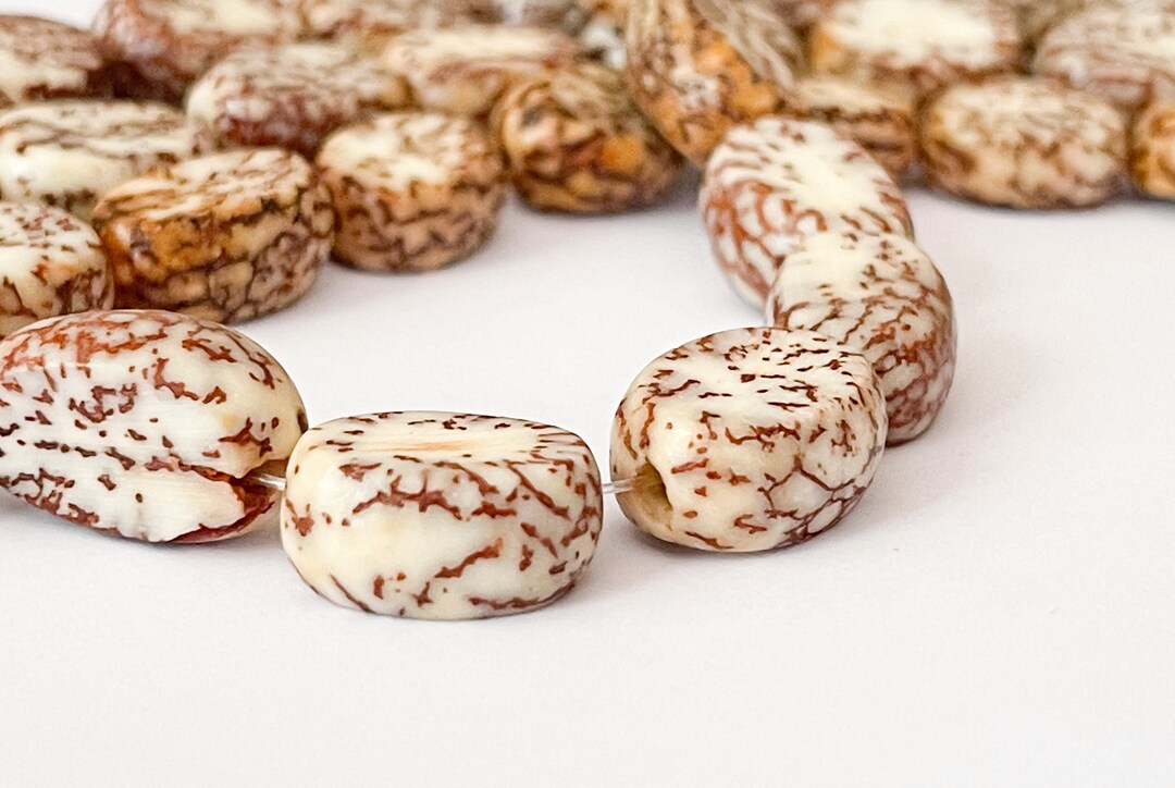 Flat Oval Nut Beads Salwag Natural - Etsy