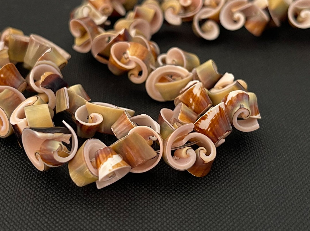 Green Everlasting Curly Shell Beads1 Strand - Etsy