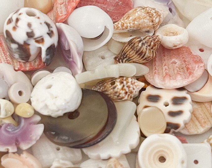 100 Drilled Shell Beads Small Shell Beads Natural Shell - Etsy
