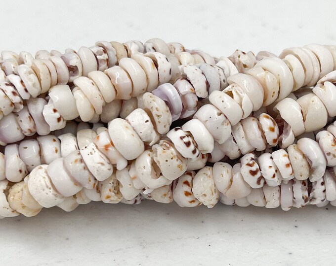 Genuine Puka Shell Beads 6/7mm Tiger Puka Distressed - Etsy