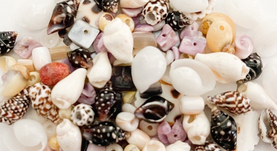 100 Drilled Shell Beads Small Shell Beads Natural Shell - Etsy