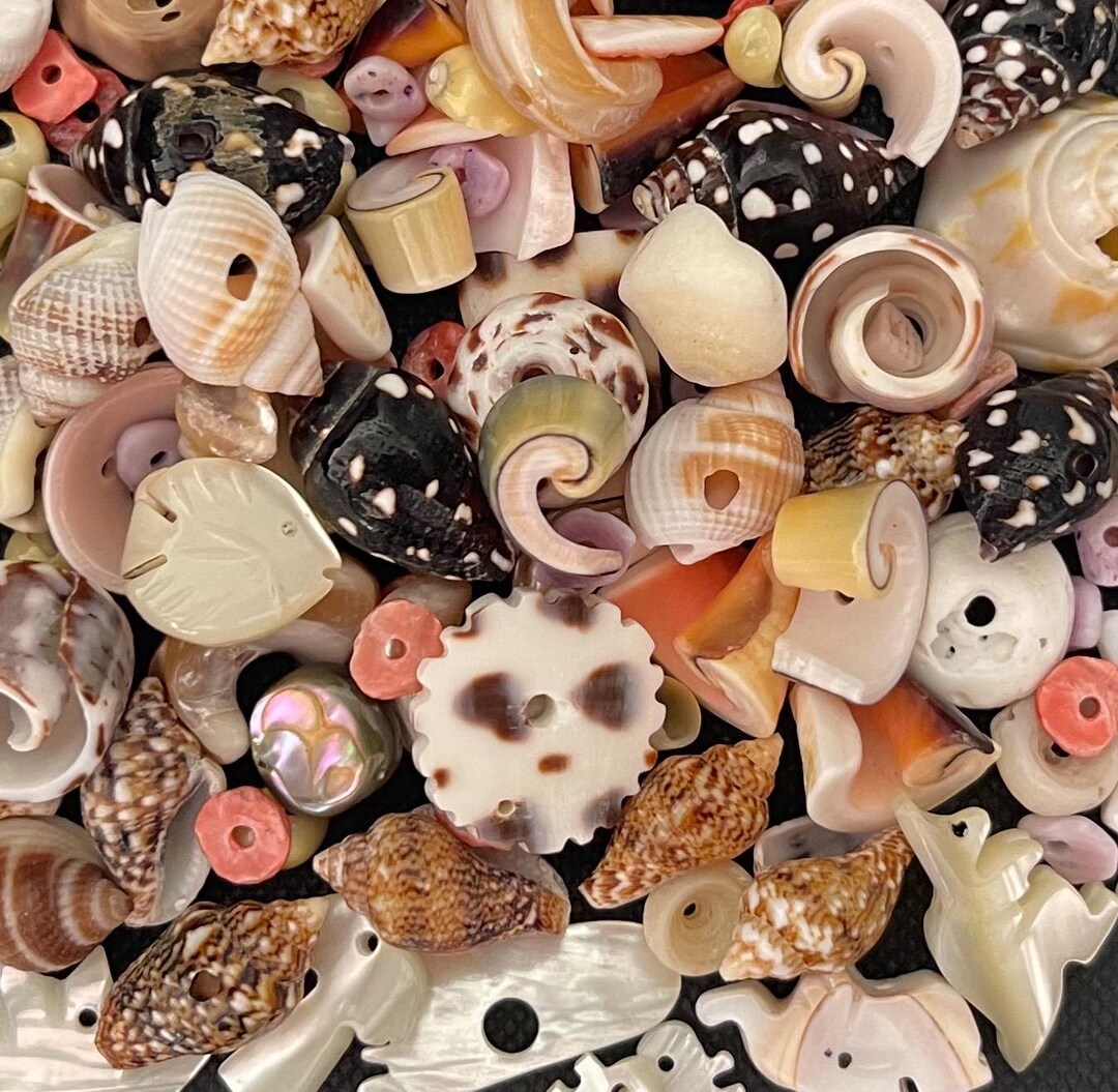 100 Drilled Shell Beads, Small Shell Beads, Natural Shell Beads - Etsy