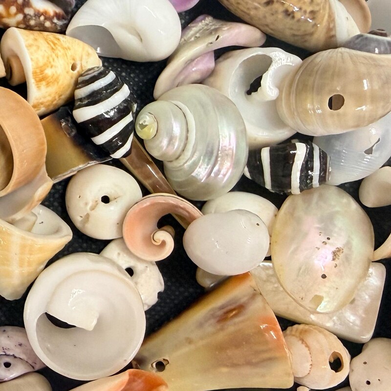 Sea Shell Hair - Etsy