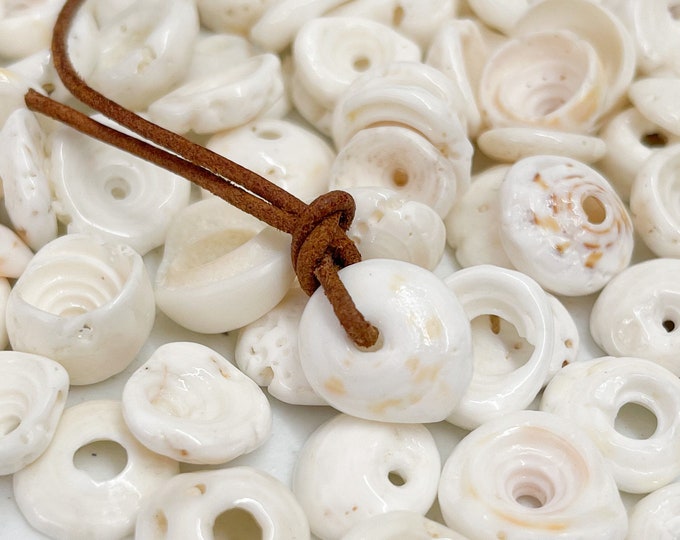 13-17MM Vintage Distressed Large Puka Shells-10pc - Etsy