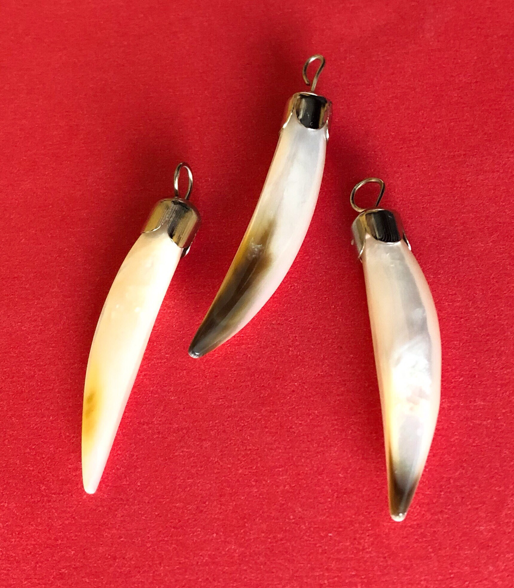 Shell Tusk Mother of Pearl Tusk 2 Shell Pendant - Etsy