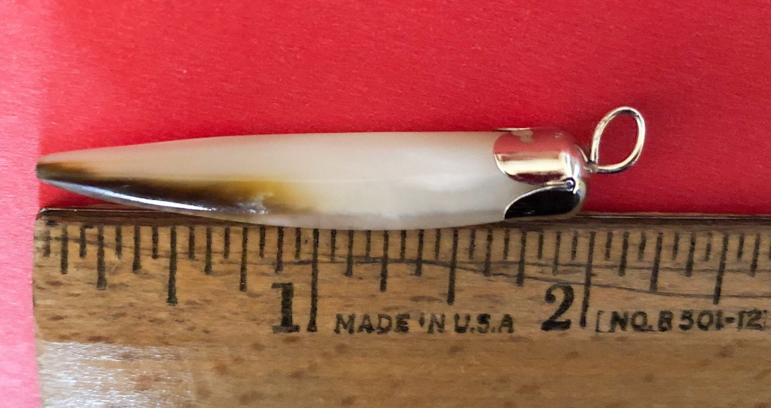 Shell Tusk Mother of Pearl Tusk 2 Shell Pendant - Etsy