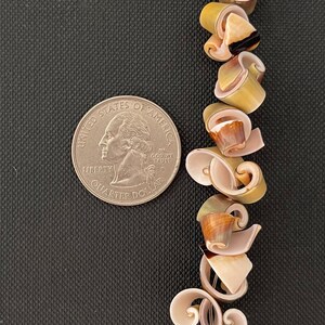 Green Everlasting Curly Shell Beads1 Strand - Etsy