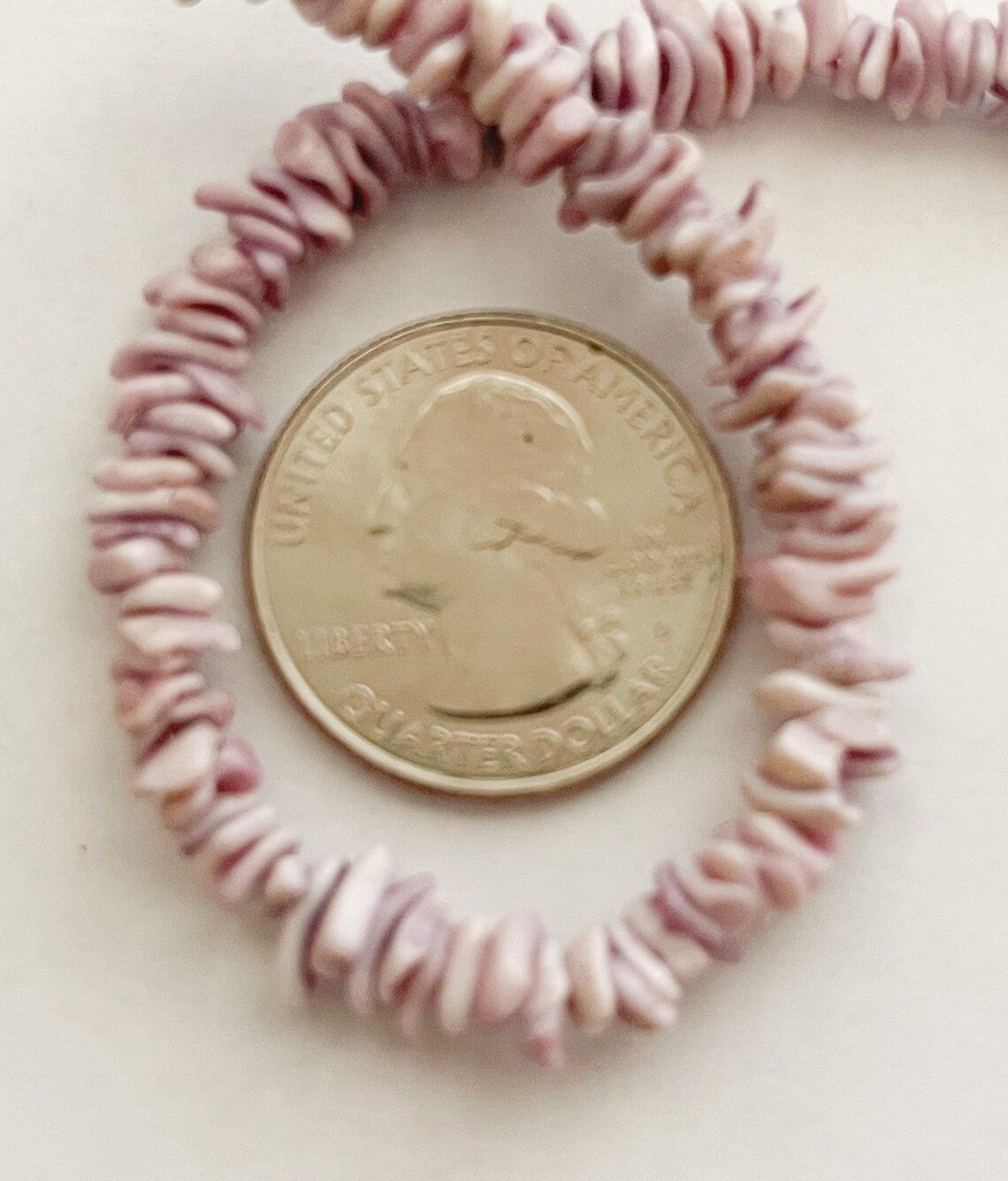 Purple Shell Beads Cebu Beauty Chips - Etsy