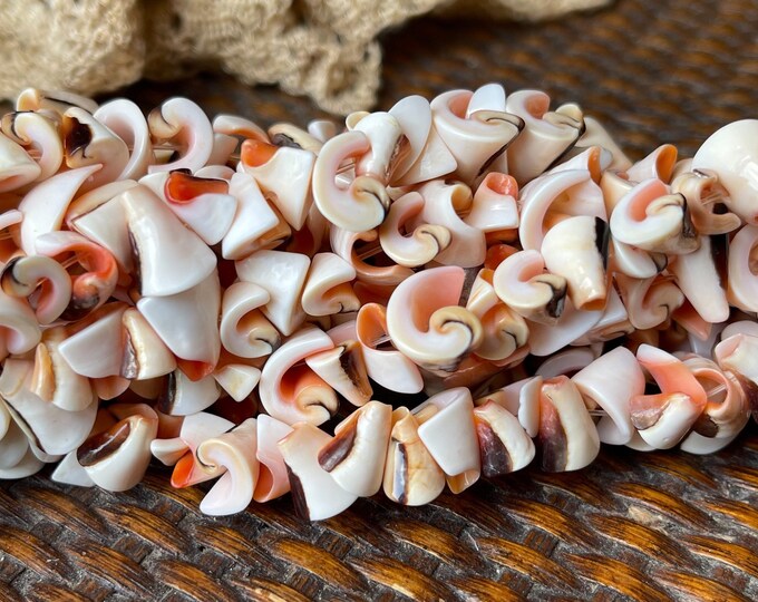 Red Everlasting Shell Nuggets Chips-16 Strand - Etsy