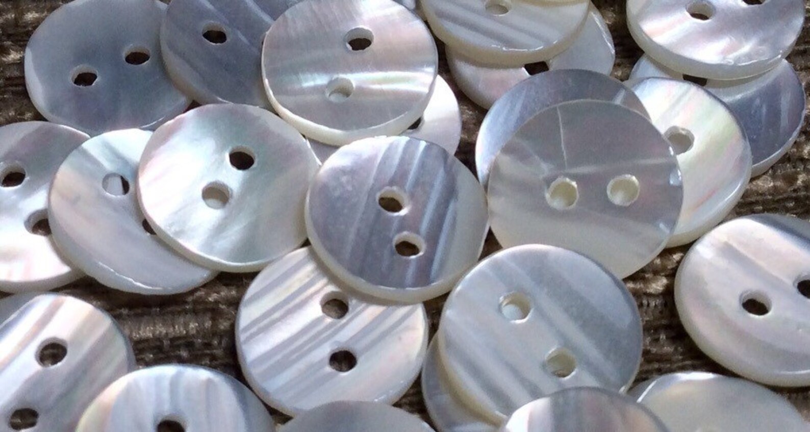 White Shell Button Lot 11mm-50 Pc - Etsy