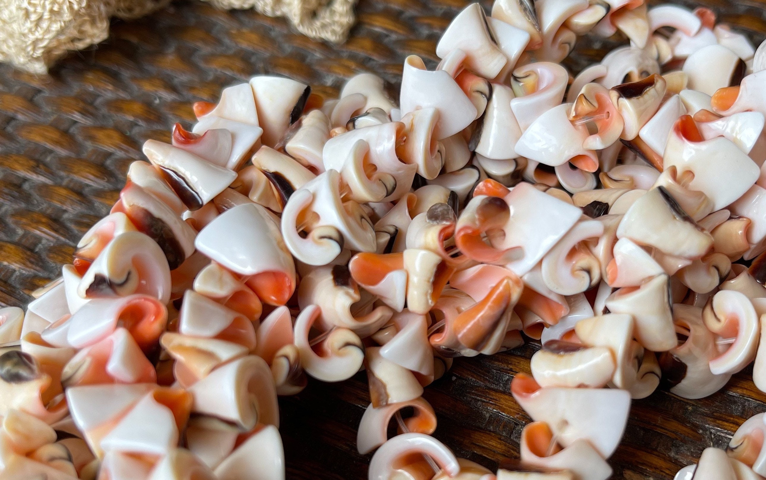 Red Everlasting Shell Nuggets Chips-16 strand | Etsy