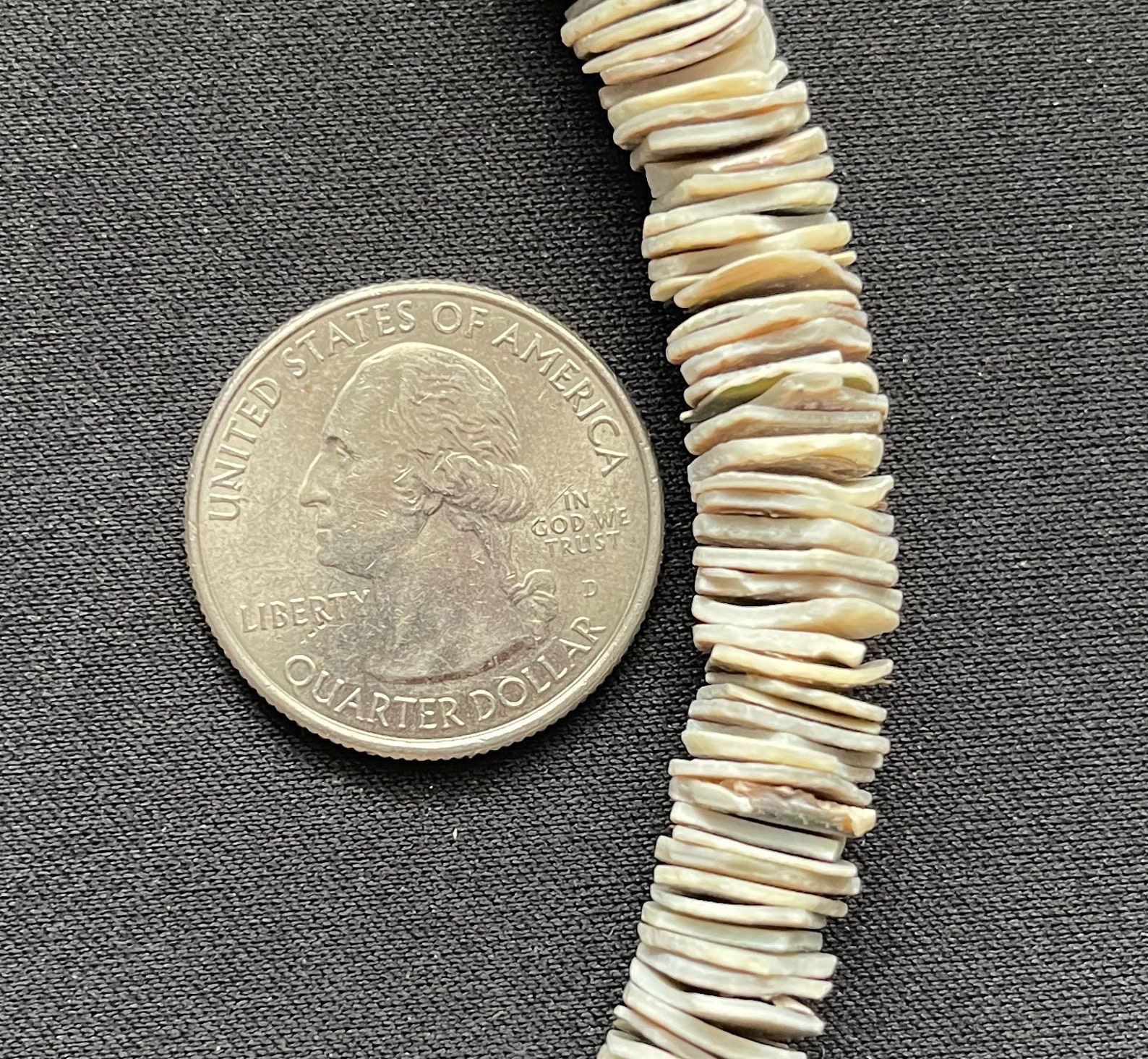 Green Shell Chips 10mm 24 Inch Strand - Etsy