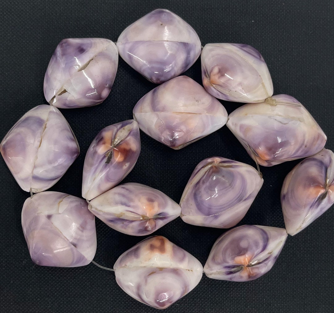 Purple Clam Shell Beads - Etsy
