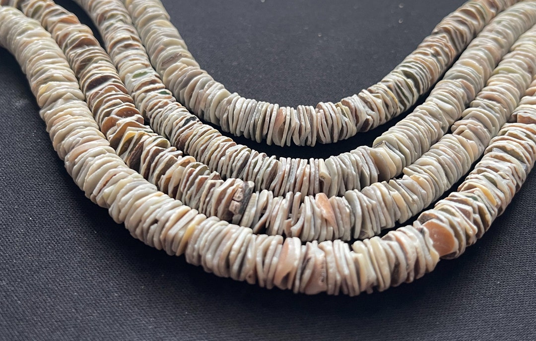 Green Shell Chips 10mm 24 Inch Strand - Etsy