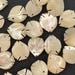 Purple Shell Beads Cebu Beauty Chips - Etsy