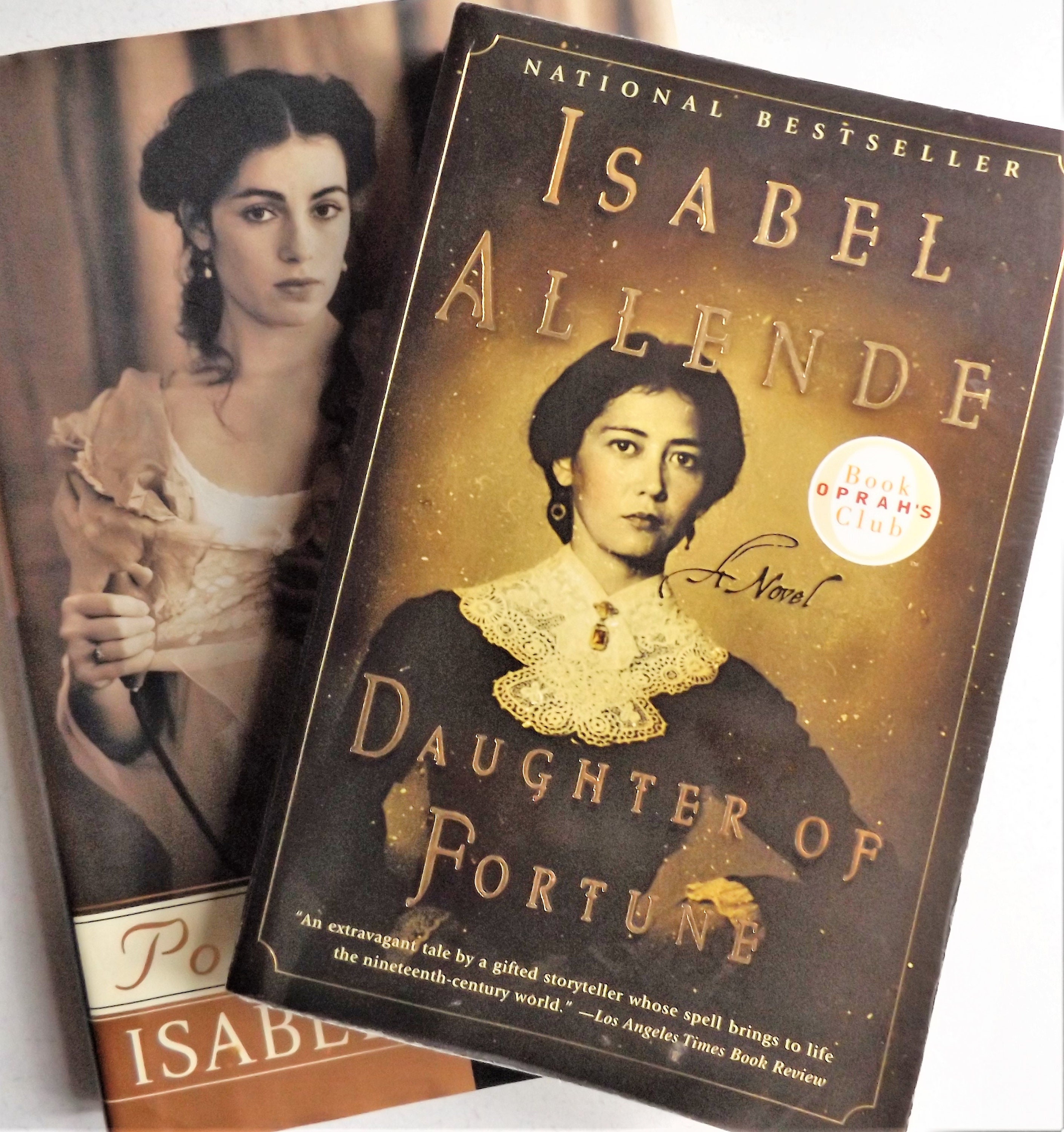 Isabel Allende Novels Set of Two Translated from Spanish - Etsy.de