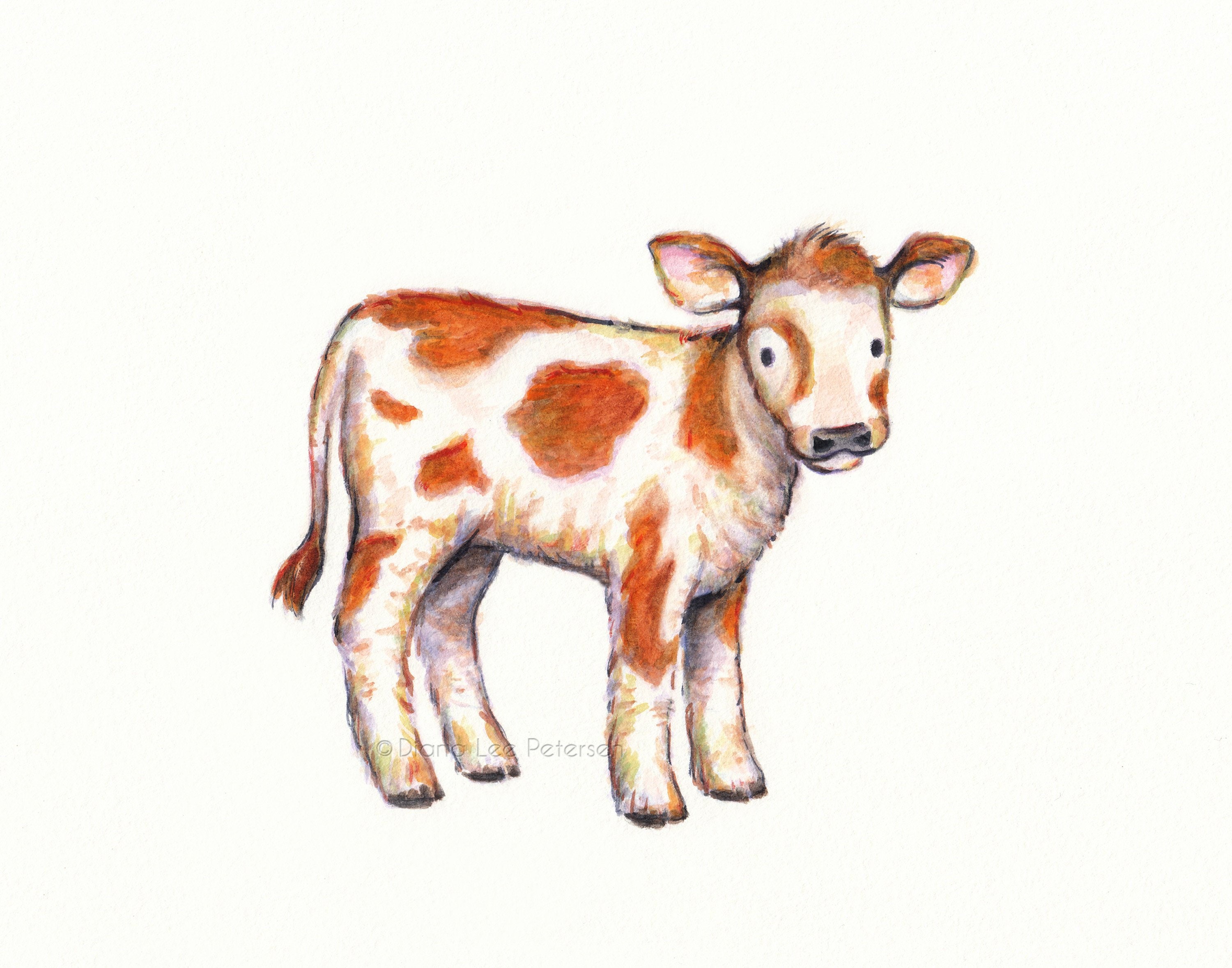 Calf Drawing For Kids