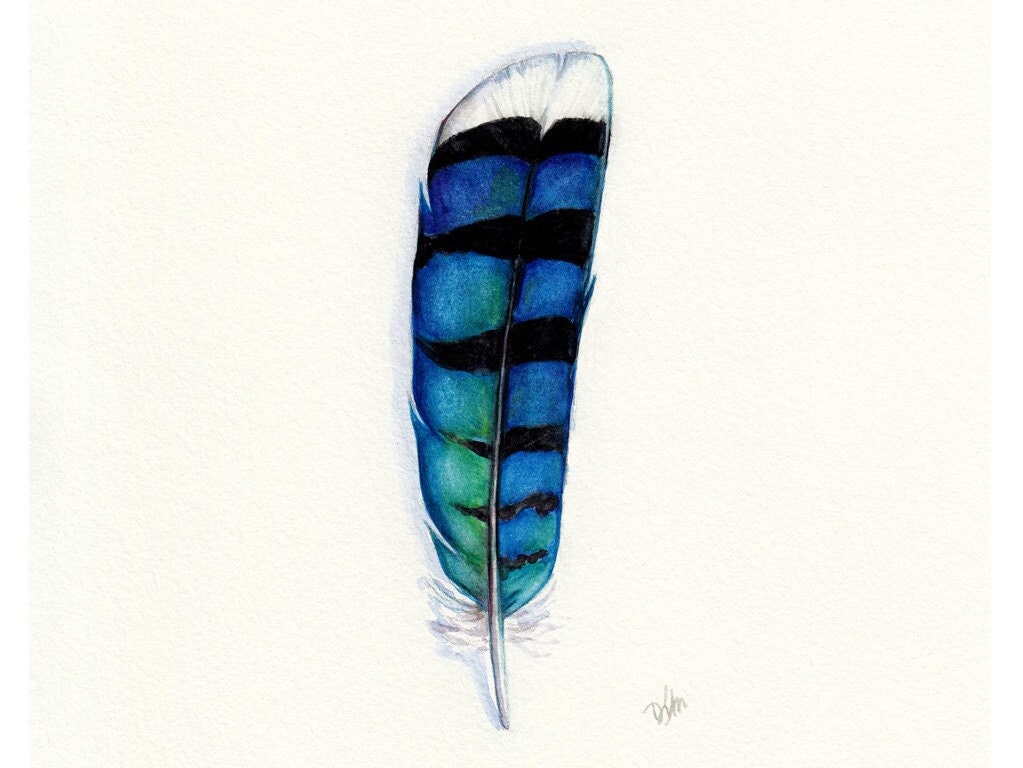 Blue Jay Art, Watercolor Feather, Feather Art, Blue Feather, Blue Jay ...