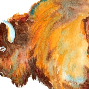 Buffalo Art Bison Art Native American Art Buffalo Print - Etsy
