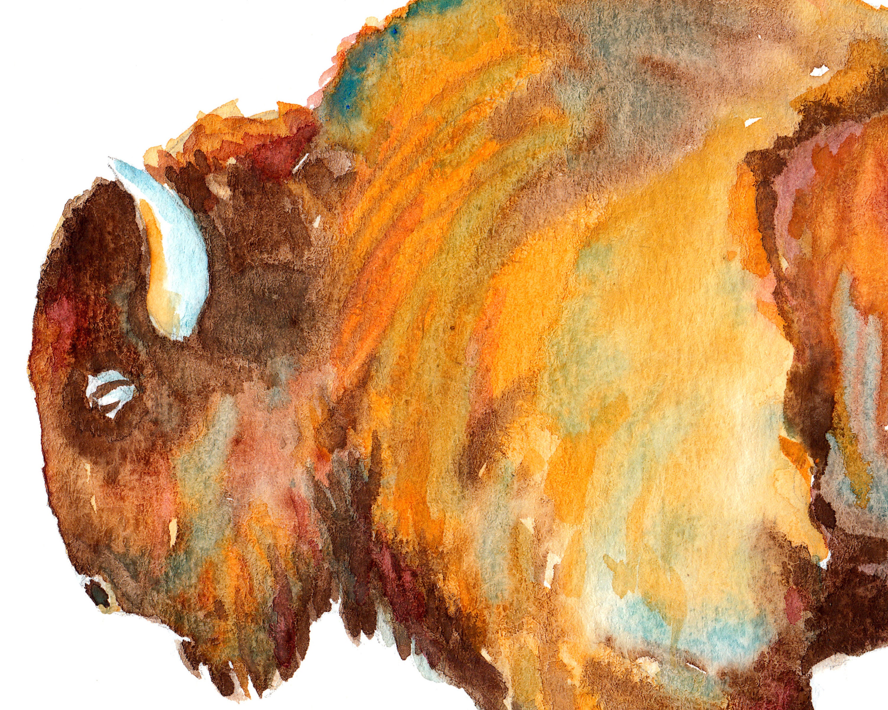 Buffalo Art, Bison Print, Native American Art, Buffalo Print, Indian ...