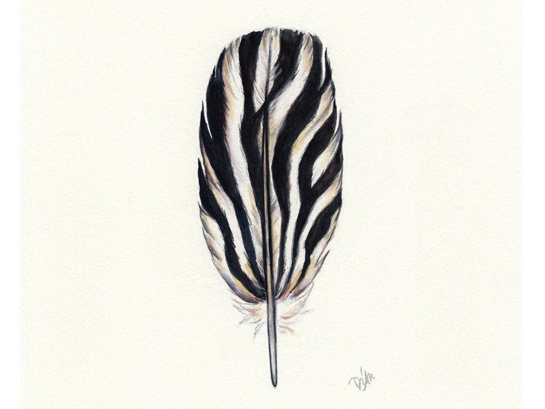 Zebra Art, Zebra Feather, Zebra Print, Watercolor Feather, Africa Gift ...