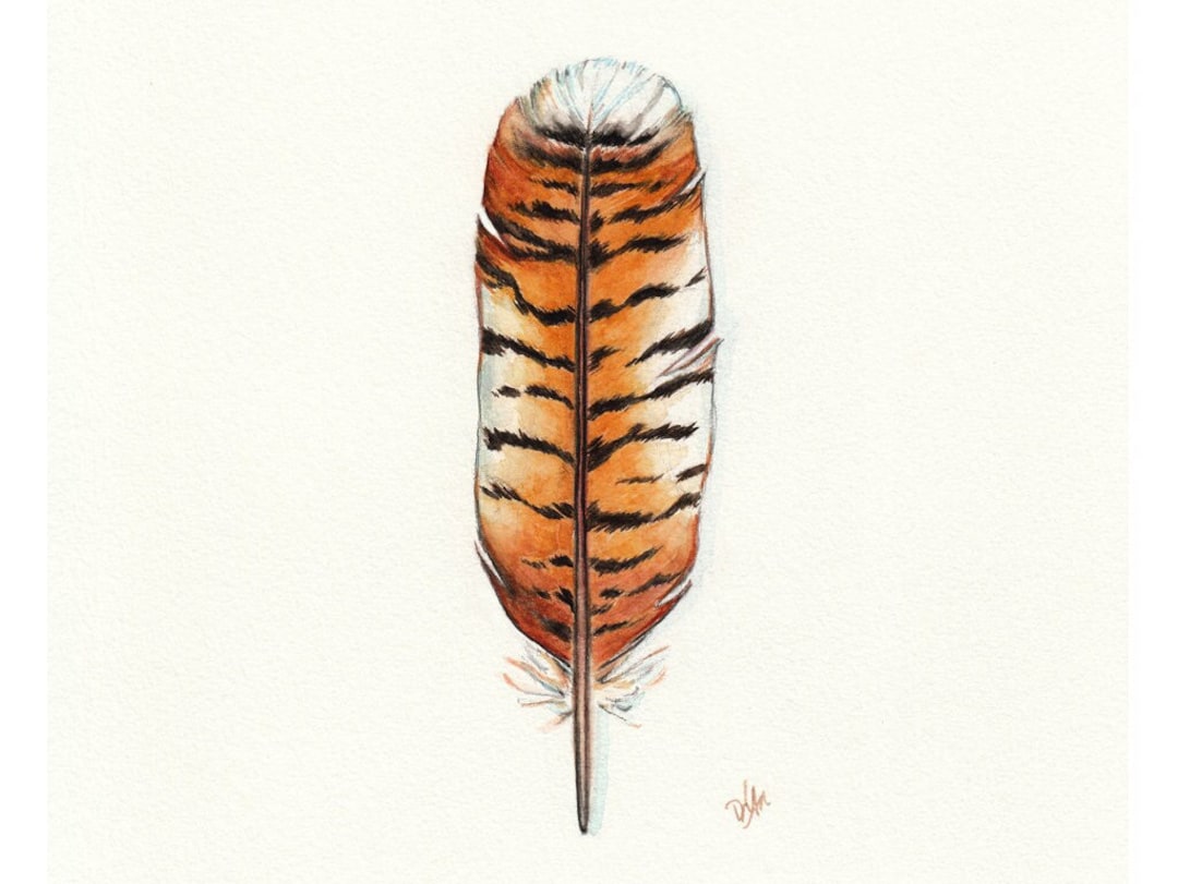 Tiger Art, Tiger Feather, Tiger Print, Feather Art, Tiger Gift, Tiger ...