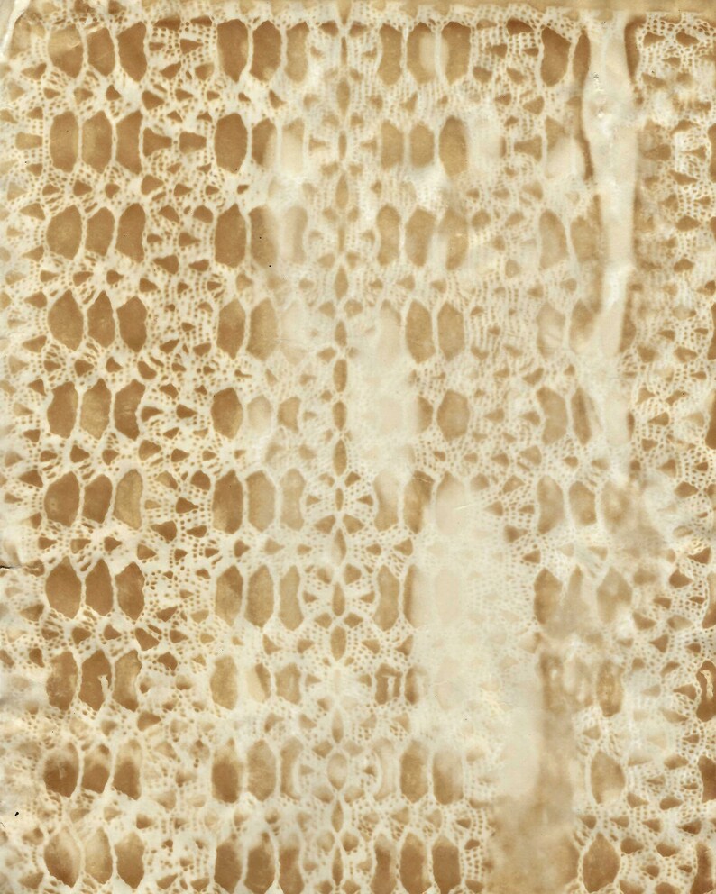 Coffee Dyed Lace Paper - 10 Pages - Etsy