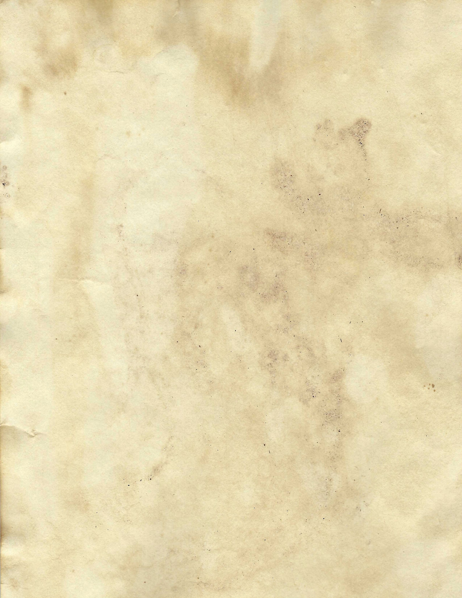 Light Coffee Dyed Papers #4 - 10 Pages - Etsy