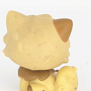 Littlest Pet Shop Long Haired Persian Cat 1673 Teal Eyes Kitten LPS ...