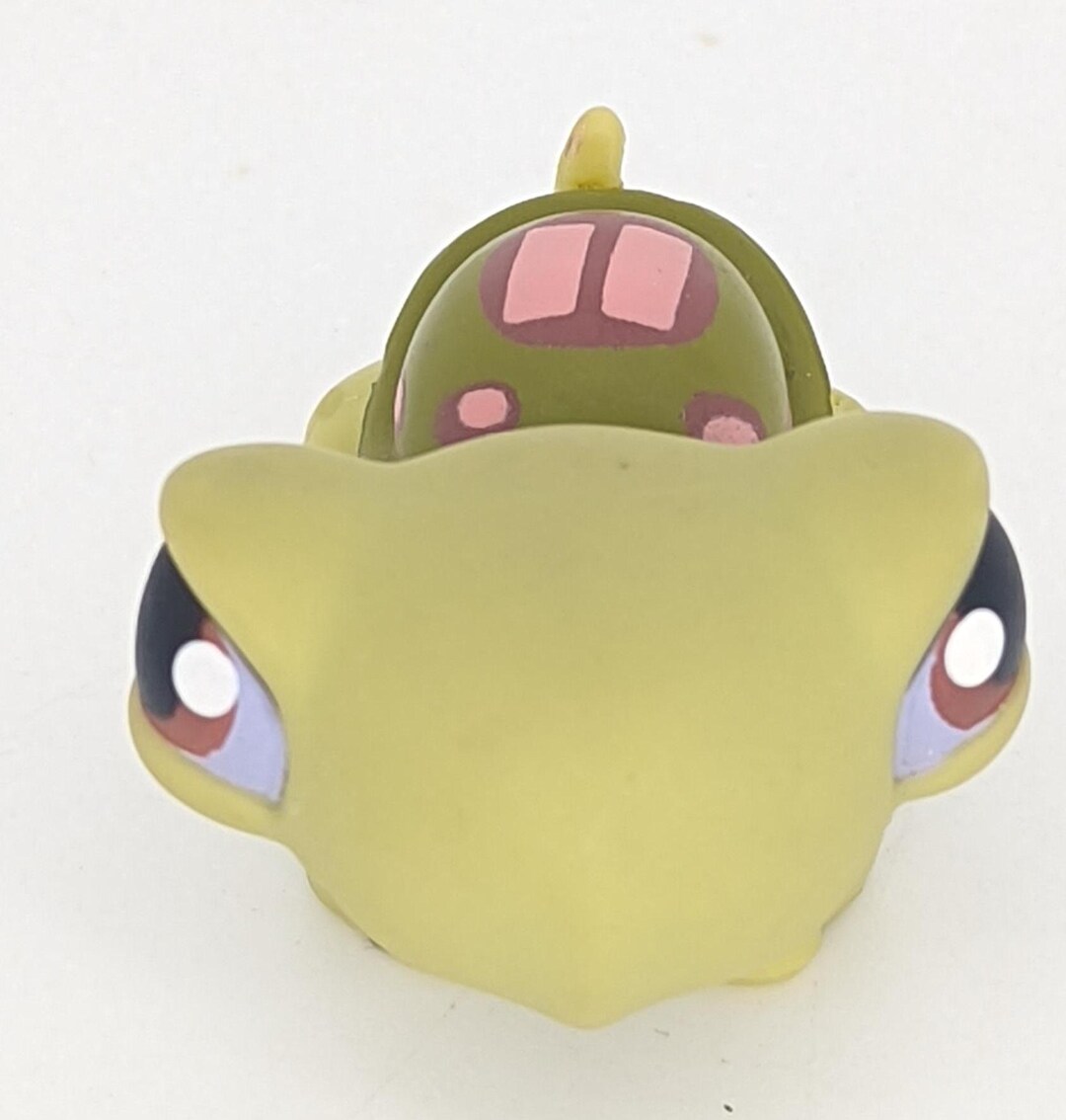 Authentic Littlest Pet Shop Turtle 8 LPS - Etsy