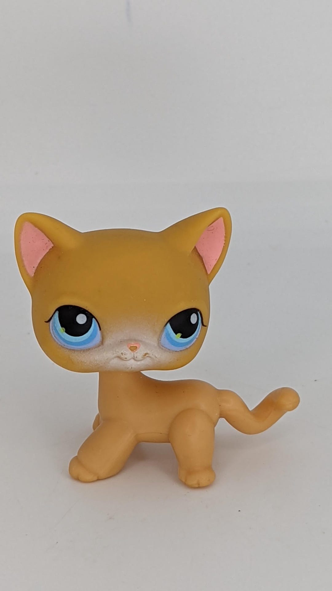Littlest Pet Shop 71 Kitty Cat Ranch Orange Magnet LPS Authentic - Etsy