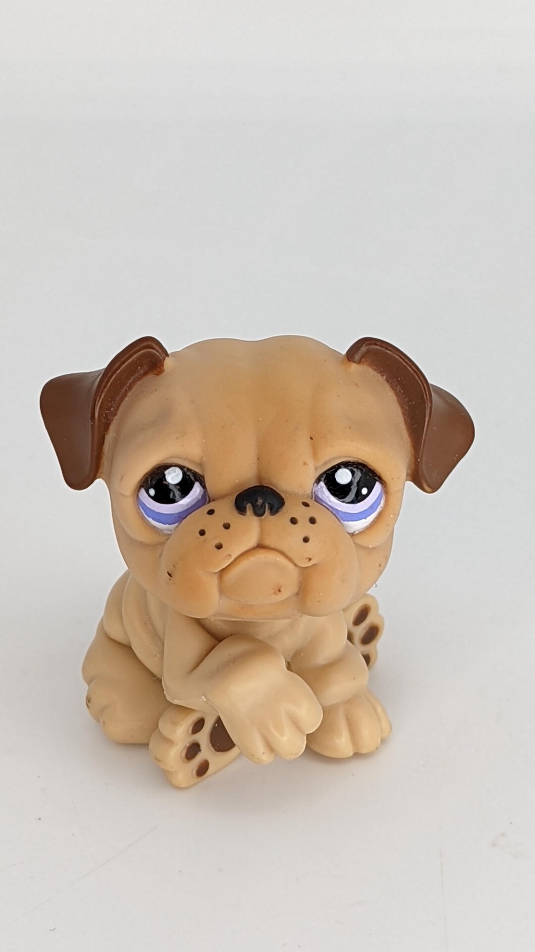 Authentic Littlest Pet Shop 1342 Dog Bulldog Brown Purple Eyes Hasbro ...