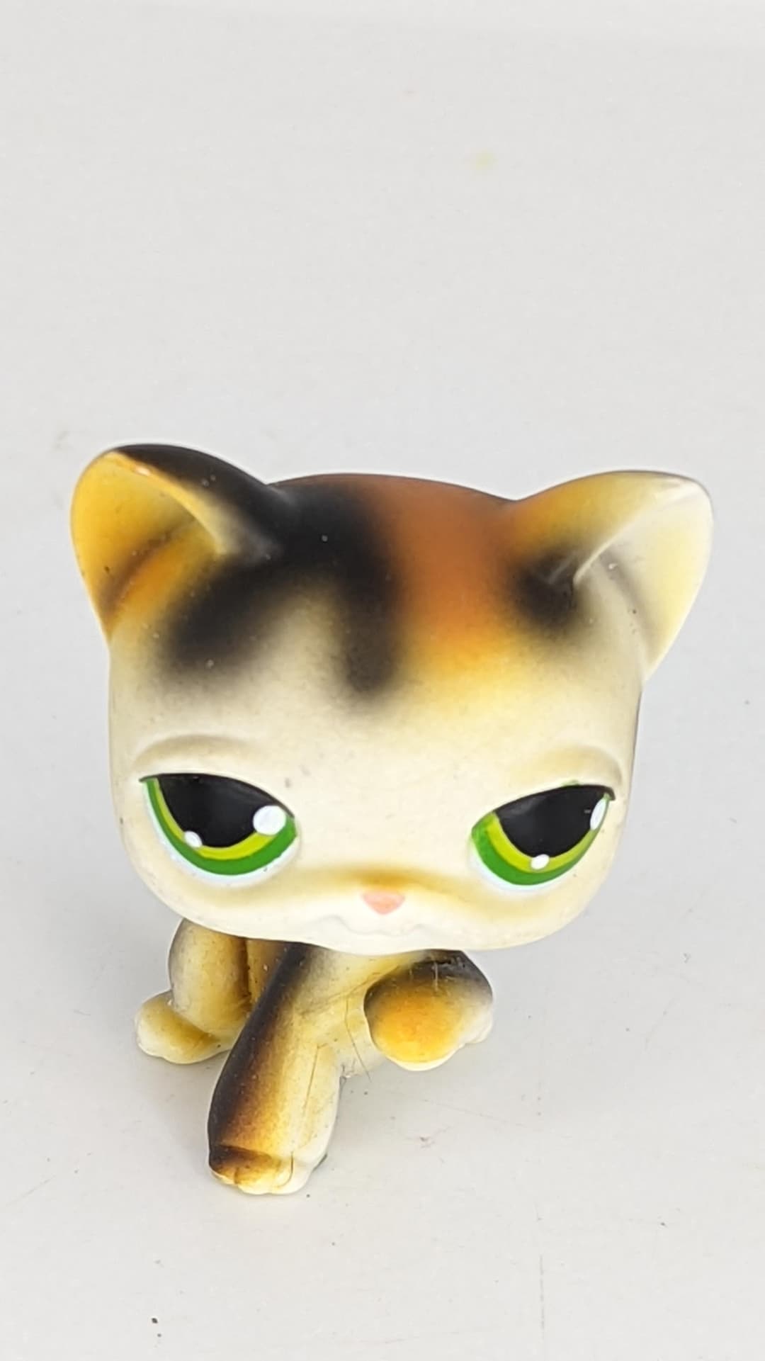 Authentic Littlest Pet Shop Calico Cat Kitten Paw up Black & Orange ...