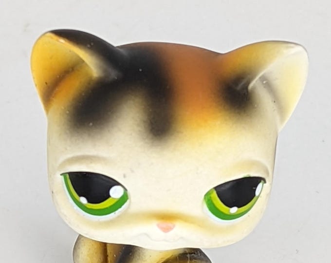 Authentic Littlest Pet Shop Calico Cat Kitten Paw up Black & Orange ...