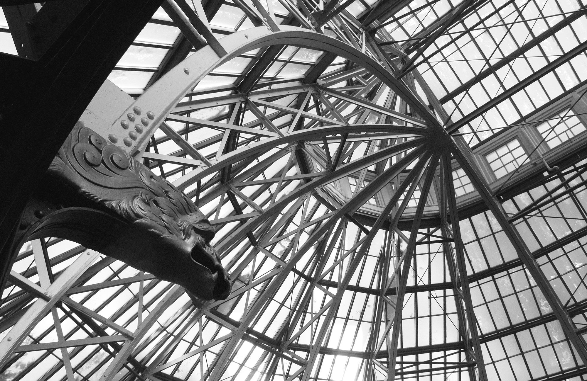 Cleveland Ohio Photography Prints, Metal Prints, Euclid Arcade Gargoyle ...