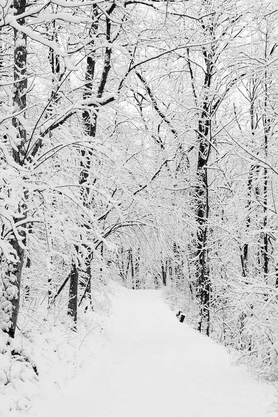 Fresh Fallen Snow Photography Prints Metal Prints Hiking - Etsy