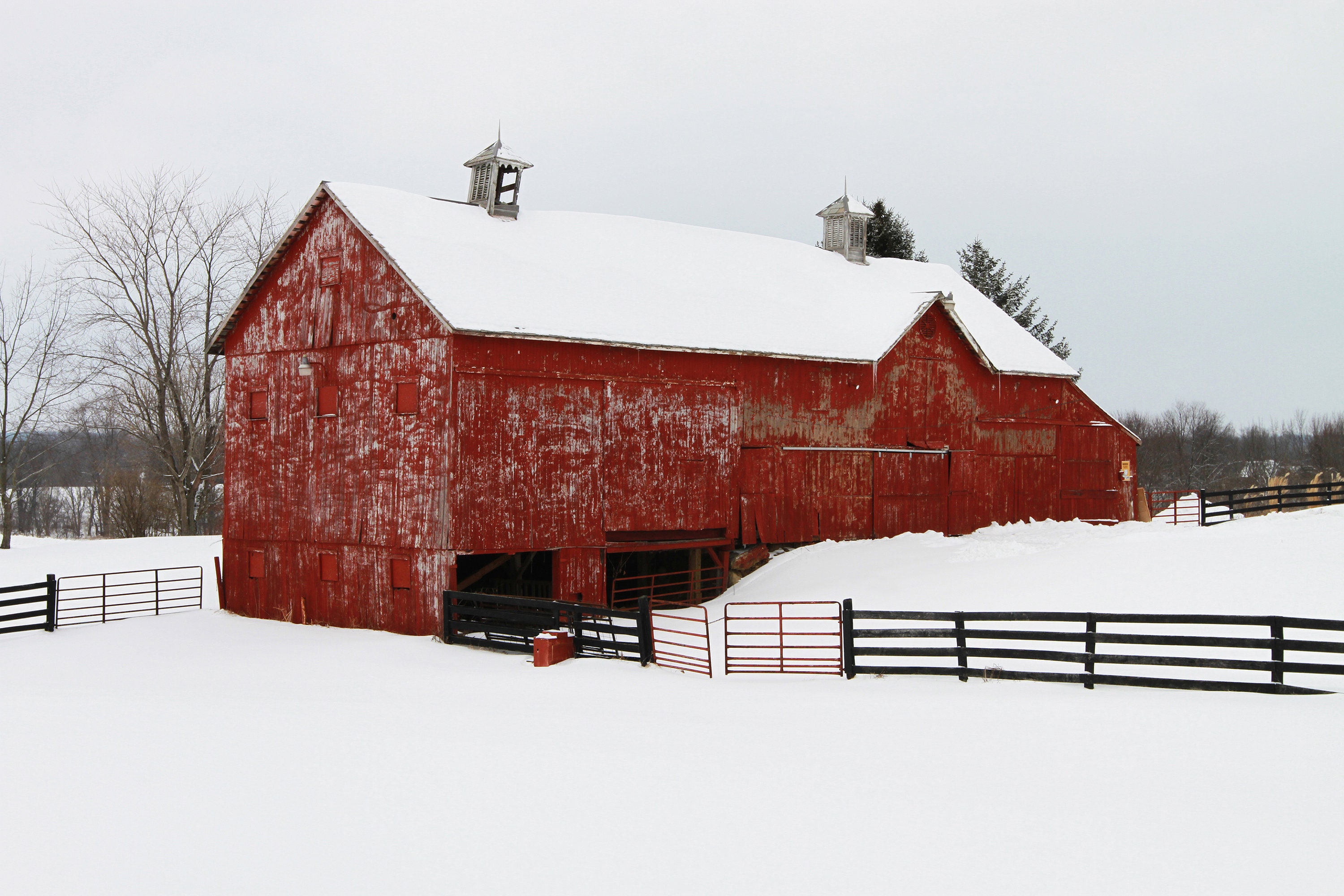 Red Barn, Photography Prints, Metal Prints, Winter Snow Farmland ...