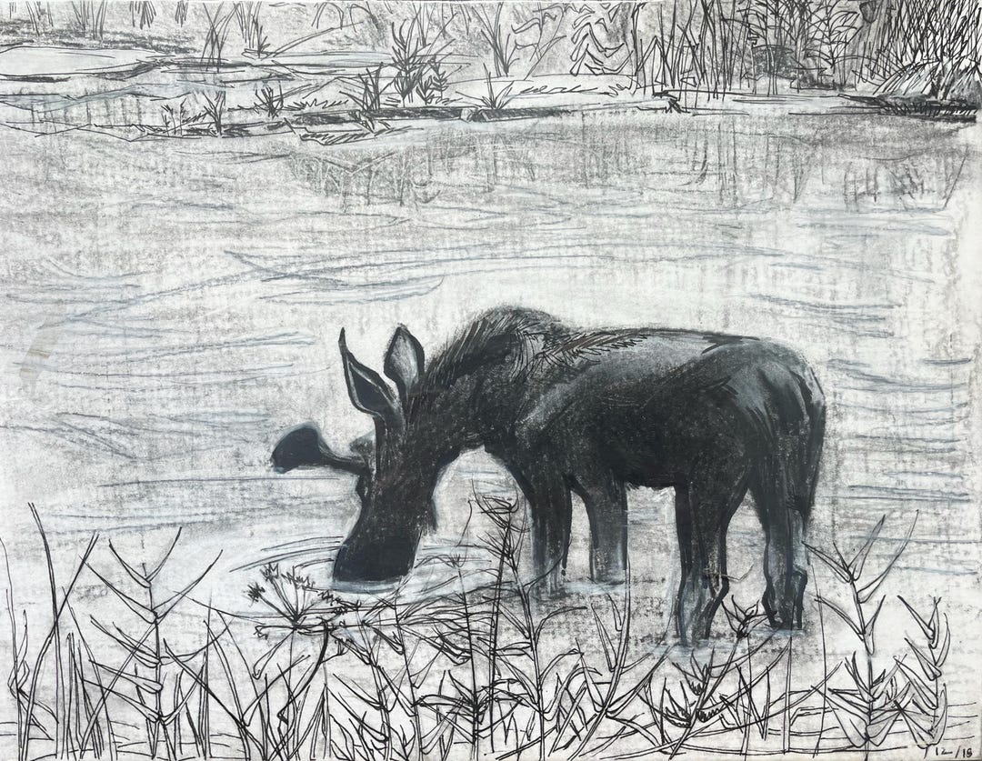 Moose in Grayscale - Etsy