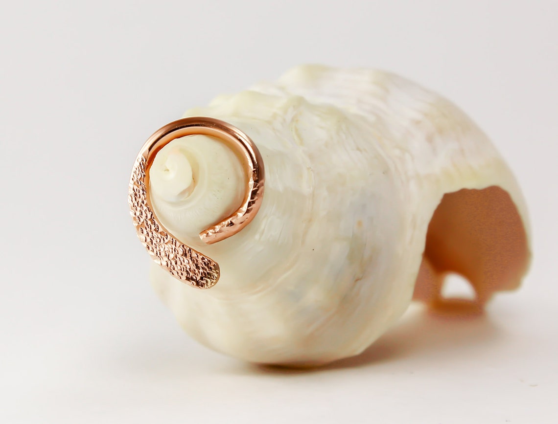 Septum Piercing, Asymmetrical Septum Ring, Scale Textured, Hammered ...