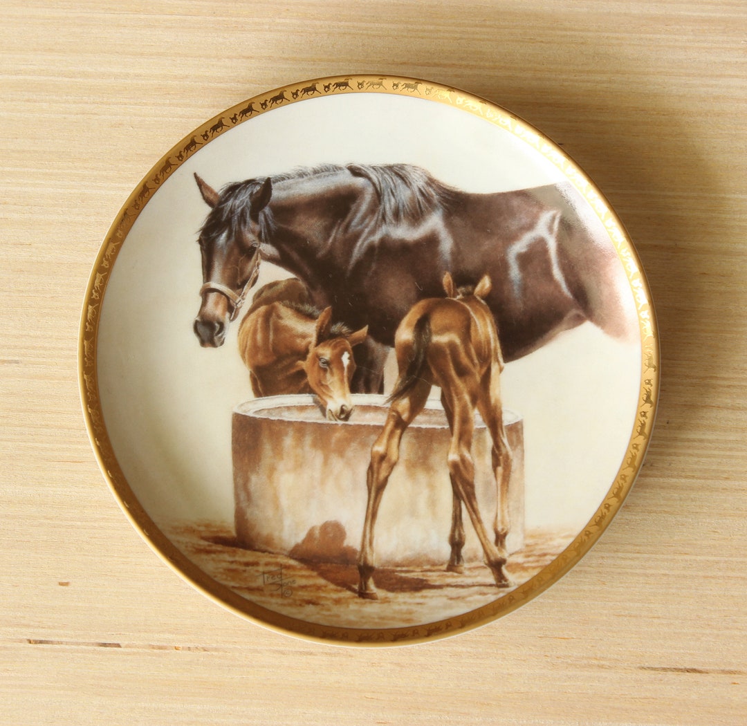 The Water Trough by Fred Stone Collector Plate 1992 - Etsy