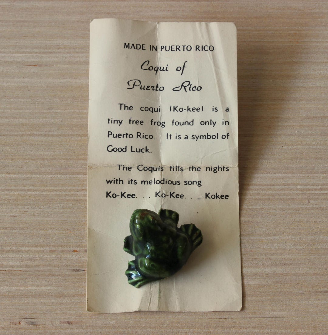 Coqui Frog Ceramic Pin--coqui of Puerto Rico--good Luck Frog Brooch ...