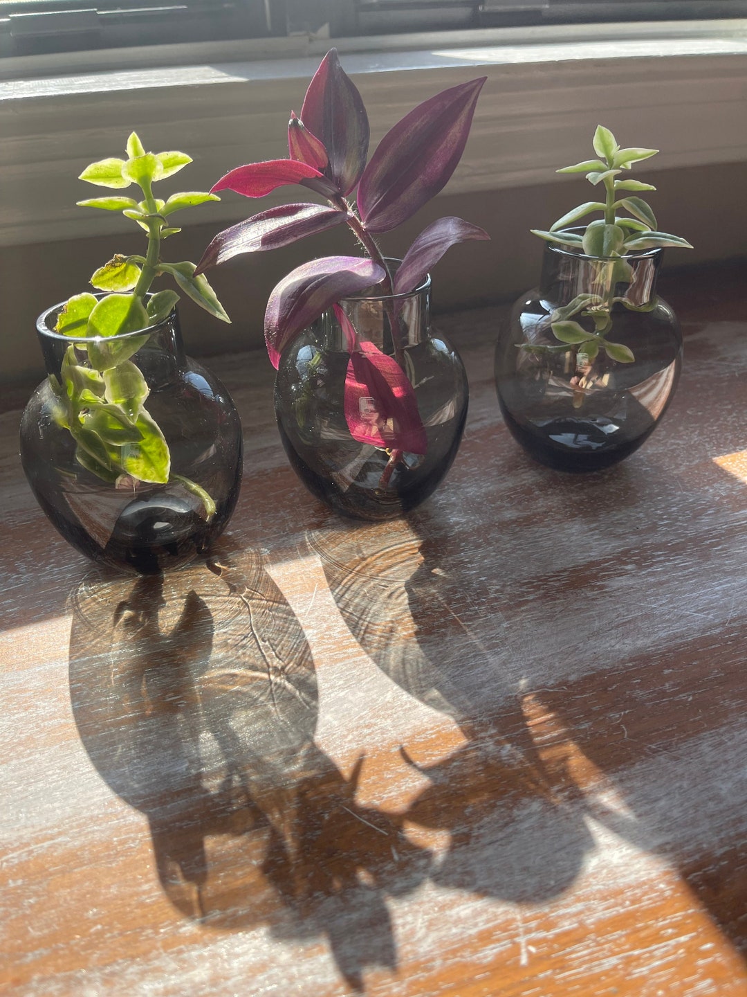 Vintage Smoke Glass Vase Small Urn Shaped Glass Vases Set of 3 Smoke ...