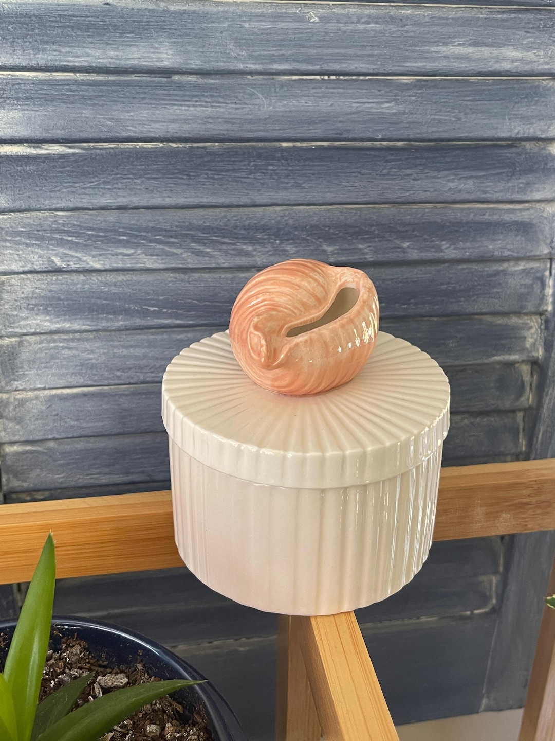 Fitz and Floyd Round Conch Shell Box Pink and White Coastal Home Decor ...
