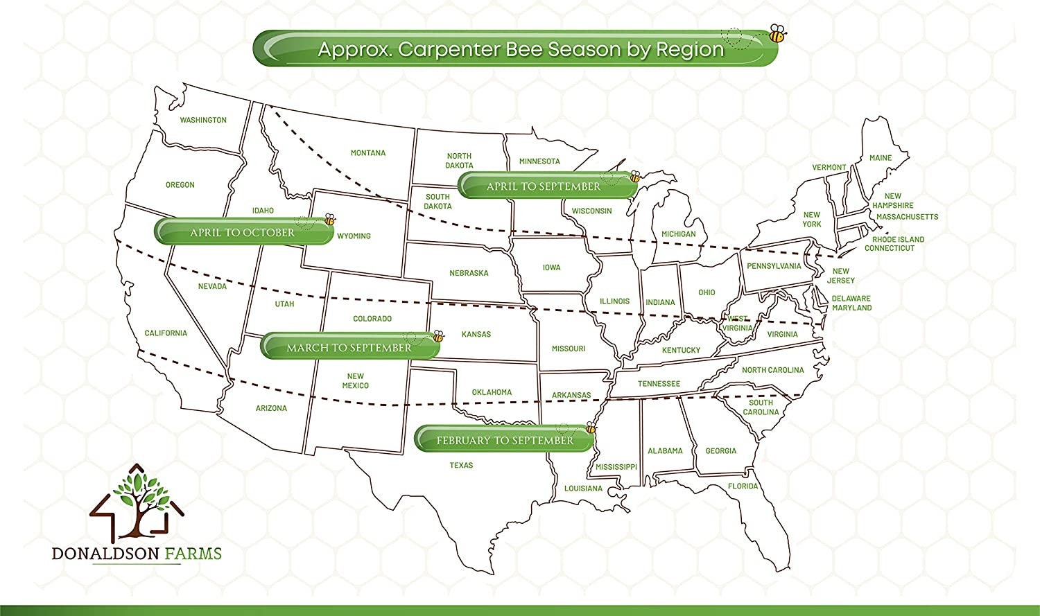 Carpenter Bee Corks (100 Pack) - Etsy